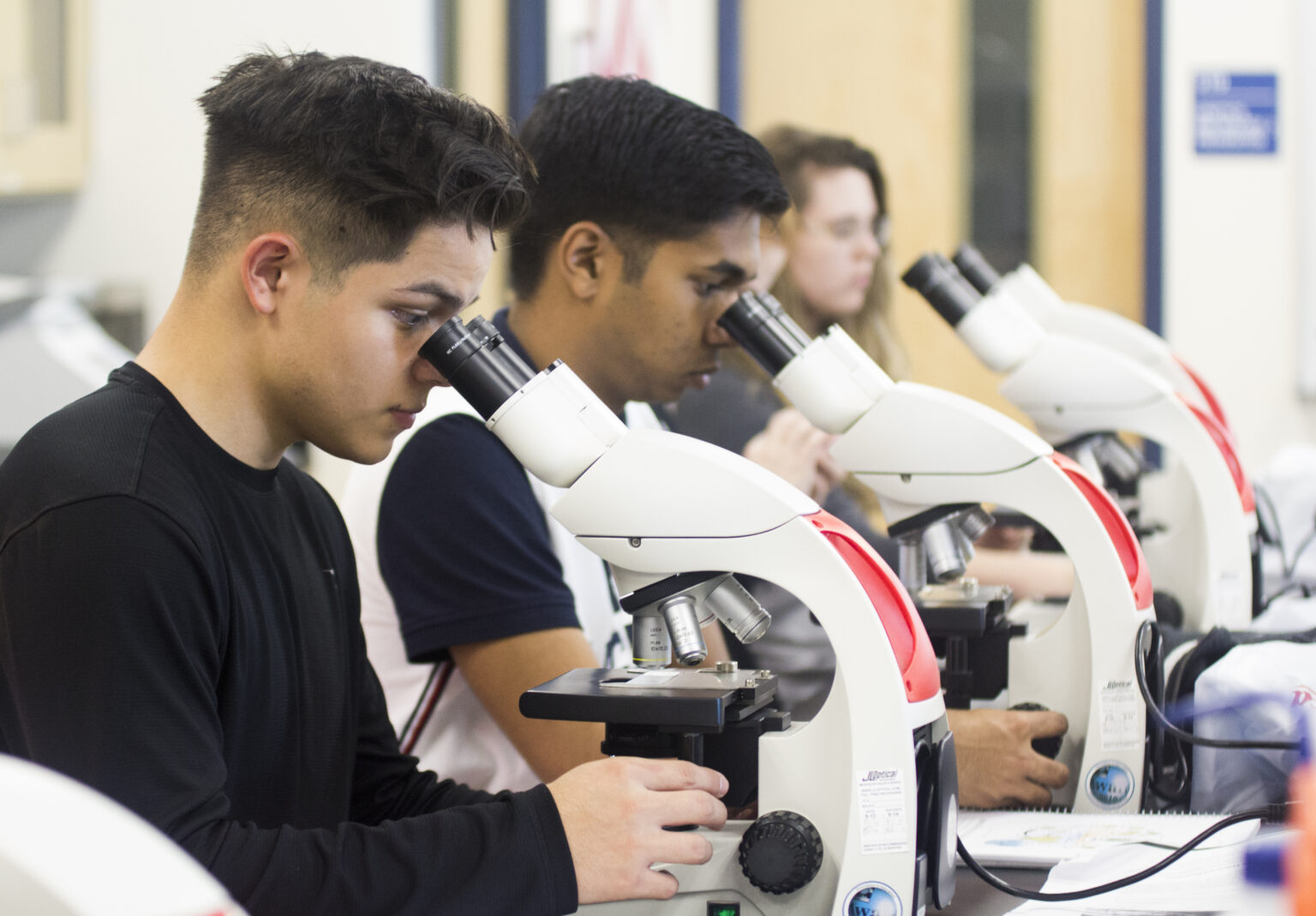 Biology Degree (A.A. & B.S.) | IRSC